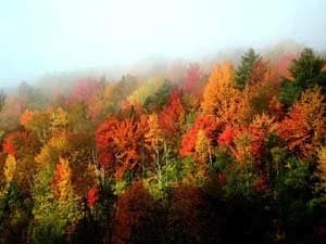 The Northern Loop - Mad River Valley Chamber of Commerce