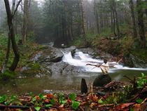 Phen Basin Trail - Mad River Valley Chamber of Commerce