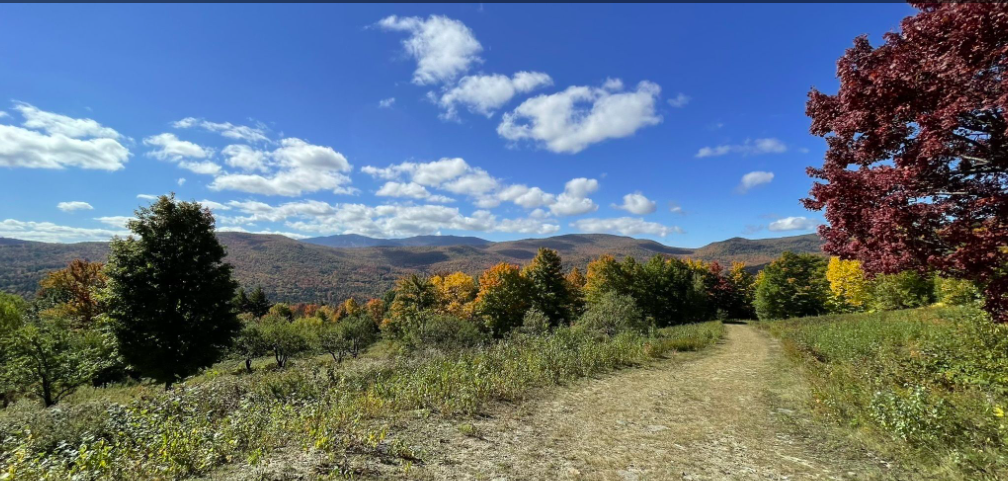 Boyce Town Forest Trail - Mad River Valley Chamber of Commerce