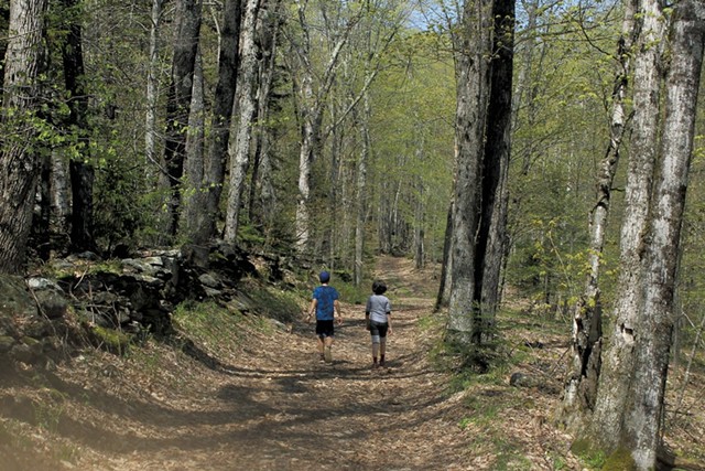 Little River State Park and Cotton Brook Trails - Mad River Valley ...